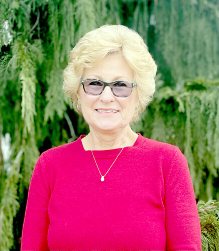 Anstine seeks re-election for Juniata County auditor post | News ...